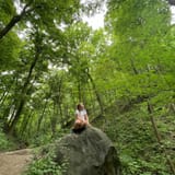 Whirlpool Trail, Ontario, Canada - 670 Reviews, Map | AllTrails