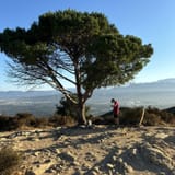 Wisdom Tree, Cahuenga Peak and Mount Lee Summit Loop, California ...