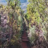 Paradyskloof Waterfall, Western Cape, South Africa - 854 Reviews, Map ...
