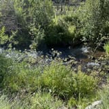 Government Springs 95A, Arizona - 655 Reviews, Map | AllTrails