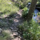 Government Springs 95A, Arizona - 618 Reviews, Map | AllTrails