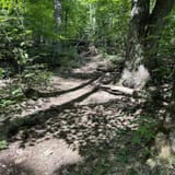 Severance Mountain, New York - 1,091 Reviews, Map | AllTrails