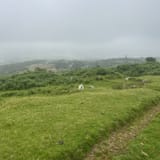 Bodmin Moor and Cheesewring, Cornwall, England - 220 Reviews, Map ...