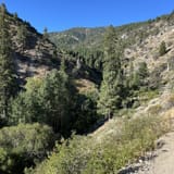 Hunter Creek Trail, Nevada - 4,878 Reviews, Map | AllTrails