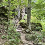 Rim Rock Recreational Trail, Illinois - 737 Reviews, Map | AllTrails