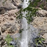 Treasure Falls Trail, Colorado - 1,529 Reviews, Map | AllTrails