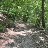 Neversink Loop Trail, Pennsylvania - 1,261 Reviews, Map | AllTrails