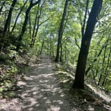 Neversink Loop Trail, Pennsylvania - 1,261 Reviews, Map | AllTrails