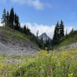 Skyline Loop, Washington - 17,625 Reviews, Map | AllTrails