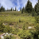 Myrtle Falls Viewpoint via Skyline Trail, Washington - 4,900 Reviews ...