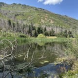 Red Lake Trail, Utah - 281 Reviews, Map | AllTrails
