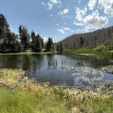 Red Lake Trail, Utah - 292 Reviews, Map | AllTrails