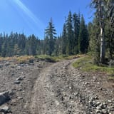 Historic Donner Pass Trail, California - 917 Reviews, Map | AllTrails