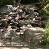 Oak Glen Preserve Trails, California - 792 Reviews, Map | AllTrails