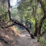 Oak Glen Preserve Trails, California - 792 Reviews, Map | AllTrails