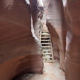 Wire Pass Trail, Utah - 3,082 Reviews, Map | AllTrails