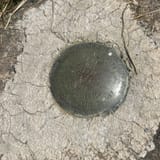 Mount Toby Trail, Massachusetts - 1,163 Reviews, Map | AllTrails