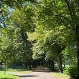 Amsterdamse Bos - Grote Vijver - Land van Bosse: 204 foto's - Noord ...