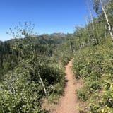 Desolation Lake via Mill D North Fork and Desolation Trail, Utah ...
