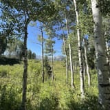 Desolation Lake via Mill D North Fork and Desolation Trail, Utah ...