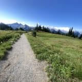 Skyline Loop, Washington - 17,625 Reviews, Map | AllTrails