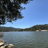 Lake Gregory Trail, California - 1,712 Reviews, Map | AllTrails