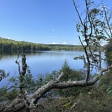 Grout Pond Trail, Vermont - 298 Reviews, Map | AllTrails