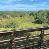 Oso Bay Wetlands Preserve, Texas - 384 Reviews, Map | AllTrails