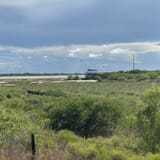 Oso Bay Wetlands Preserve, Texas - 384 Reviews, Map | AllTrails