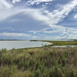 Oso Bay Wetlands Preserve, Texas - 384 Reviews, Map | AllTrails