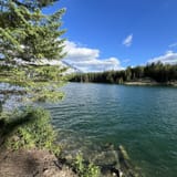 Johnson Lake, Alberta, Canada - 1,962 Reviews, Map | AllTrails