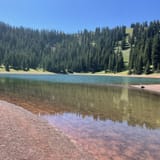 Wasatch Crest Trail, Utah - 363 Reviews, Map | AllTrails