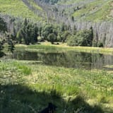 Red Lake Trail, Utah - 292 Reviews, Map | AllTrails