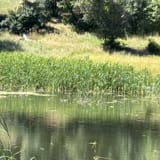 Red Lake Trail, Utah - 290 Reviews, Map | AllTrails