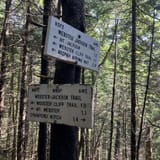 Mount Jackson Trail, New Hampshire - 2,213 Reviews, Map | AllTrails