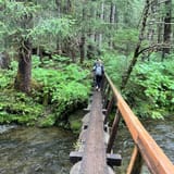 Indian River Trail, Alaska - 273 Reviews, Map | AllTrails