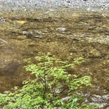 Indian River Trail, Alaska - 273 Reviews, Map | AllTrails