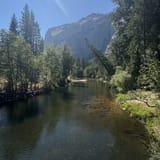 Sentinel Meadow Cook's Meadow Loop Trail, California - 4,008 Reviews ...