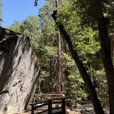 Sentinel Meadow Cook's Meadow Loop Trail, California - 4,008 Reviews ...