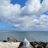 Damon Point State Park Trail, Washington - 509 Reviews, Map | AllTrails