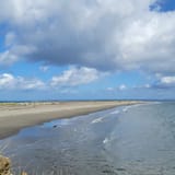 Damon Point State Park Trail, Washington - 513 Reviews, Map | AllTrails