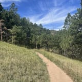 Sunshine Canyon Trail, Colorado - 742 Reviews, Map | AllTrails