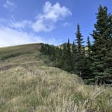 Mount Allan from Ribbon Creek, Alberta, Canada - 970 Reviews, Map ...