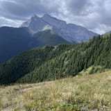 Mount Allan from Ribbon Creek, Alberta, Canada - 970 Reviews, Map ...