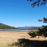 Sagehen Creek Loop, California - 1,097 Reviews, Map | AllTrails