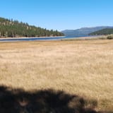 Sagehen Creek Loop, California - 1,097 Reviews, Map | AllTrails