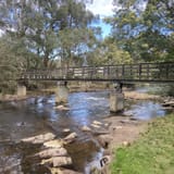 Warburton River Walk, Victoria, Australia - 209 Reviews, Map | AllTrails