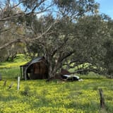 Neerabup Nature Reserve, Western Australia, Australia - 32 Reviews, Map ...
