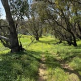 Neerabup Nature Reserve, Western Australia, Australia - 32 Reviews, Map ...