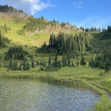Tipsoo Lake to Dewey Lake Loop, Washington - 809 Reviews, Map | AllTrails